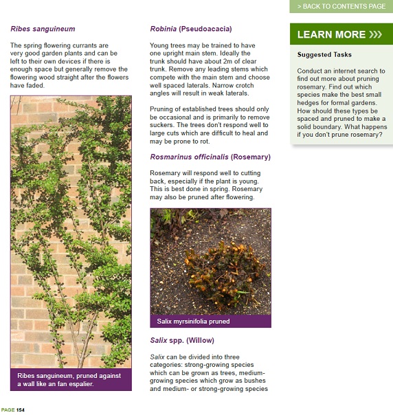 Pruning | Short Course